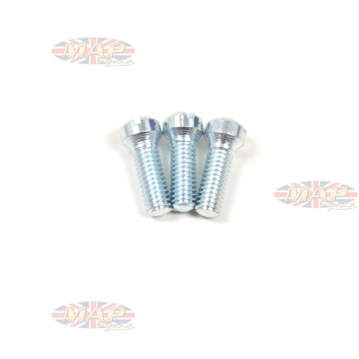SCREW (DISC)